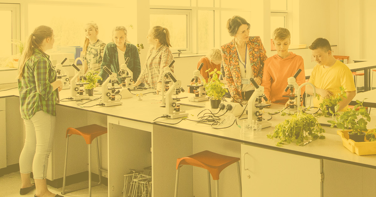 Human Anatomy Course | UC San Diego Division of Extended Studies